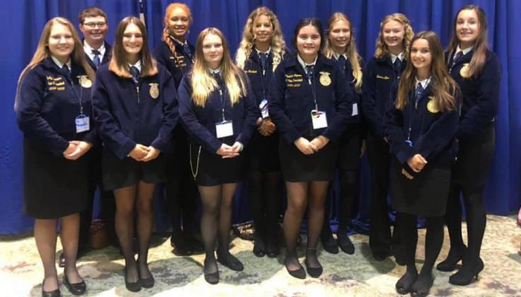 FFA members accept awards at state convention | Lampasas Dispatch Record