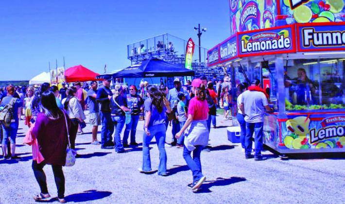 Diamondback Jubilee rounds up another great year | Lampasas Dispatch Record